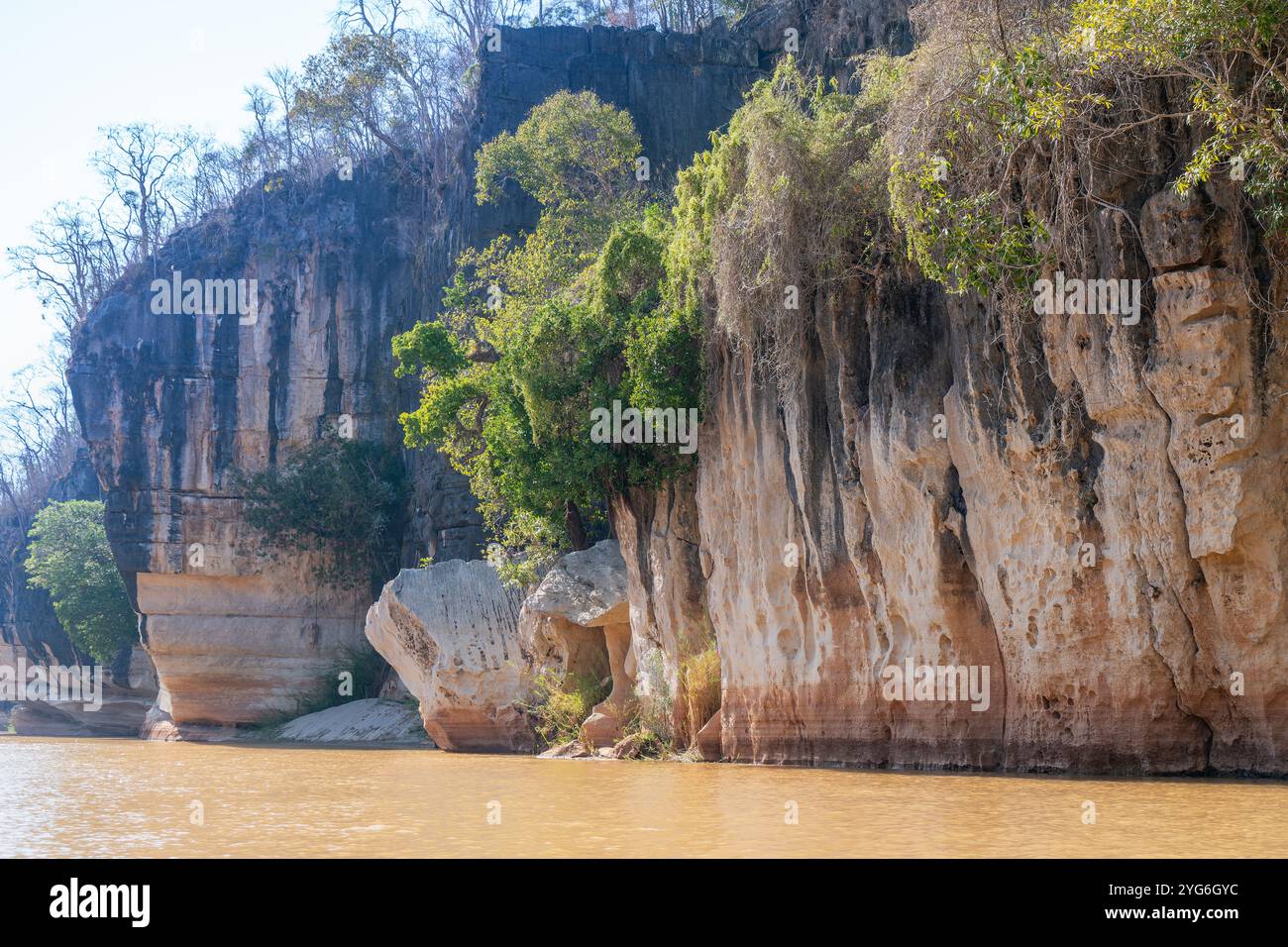 A view of the Manambulo River in Madagascar, showing the unique ...