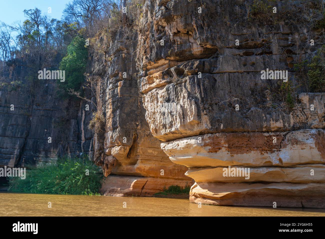 A view of the Manambulo River in Madagascar, showing the unique ...