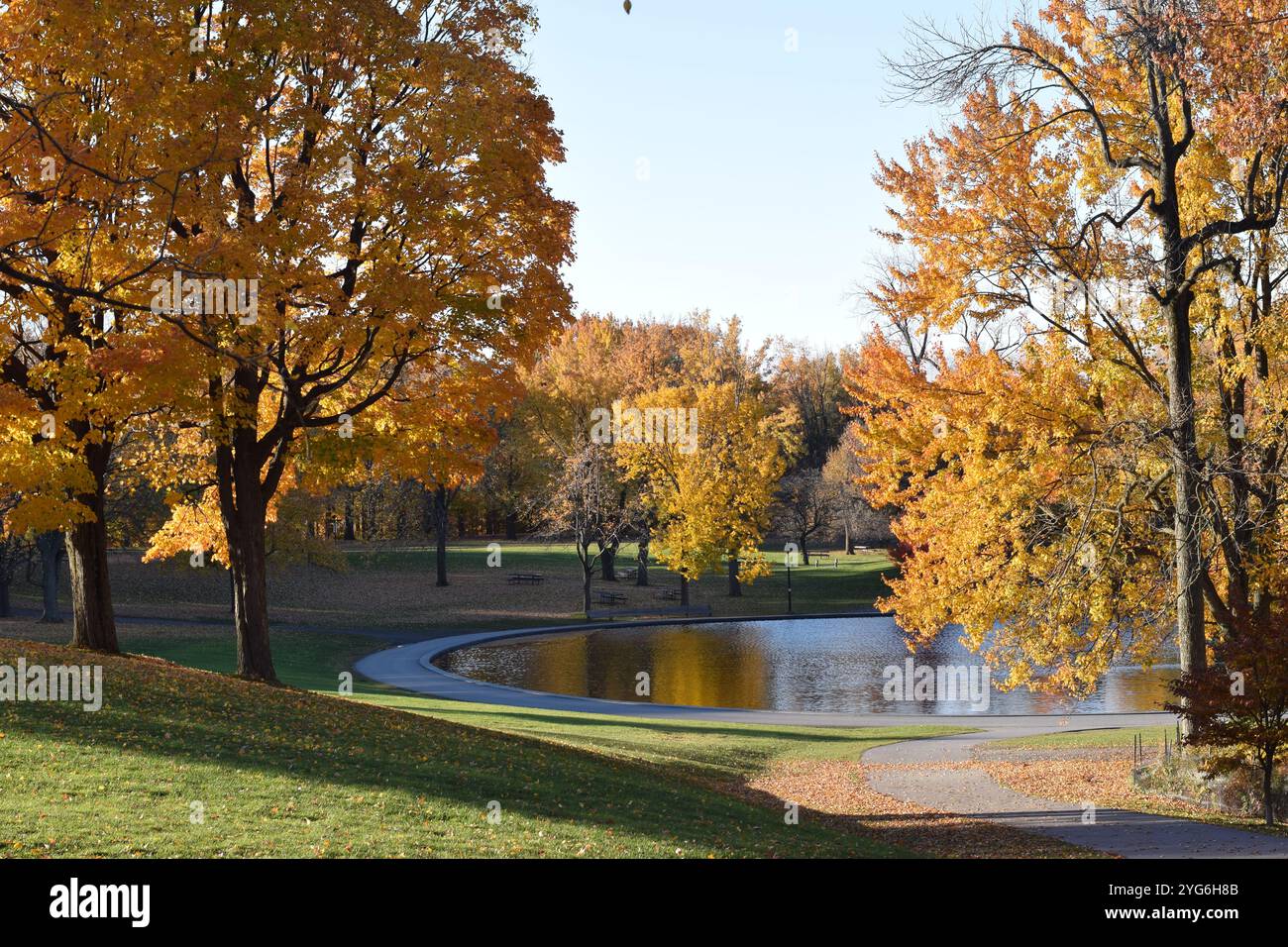 Autumn in the parc Stock Photo - Alamy