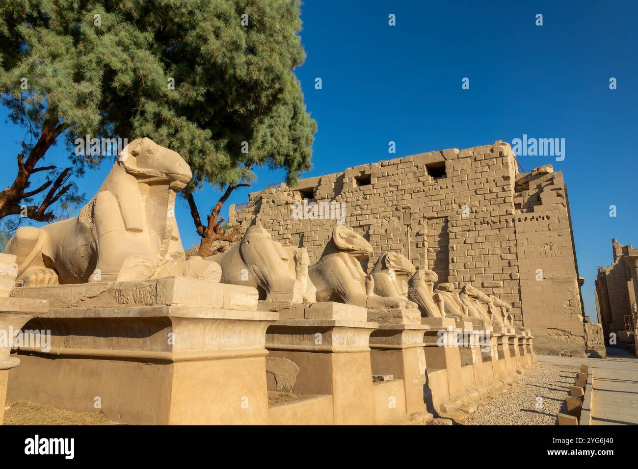Ram-headed sphinxes in Karnak temple complex on the east bank of the ...