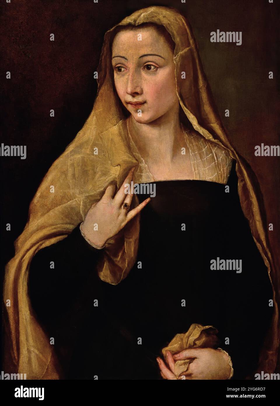 Portrait of Settimia Jacovacci 1545 by Titian, Pieve di Cadore 1485/ ...