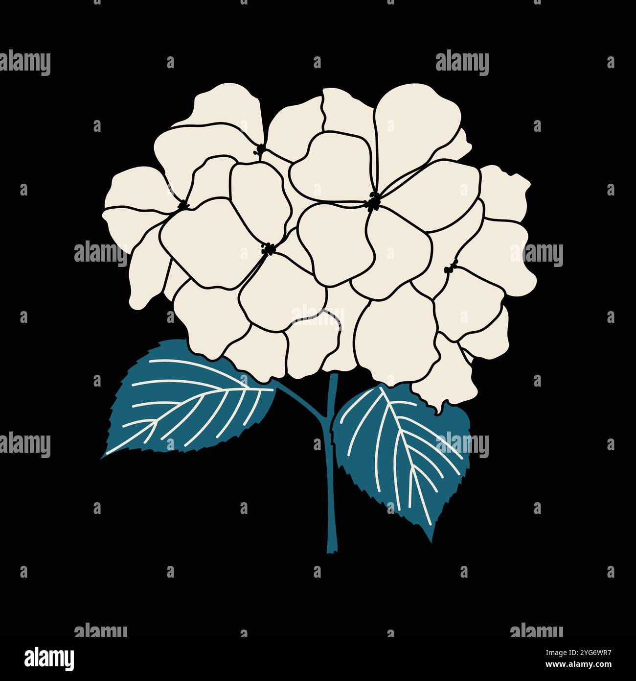 Hydrangea flower vector illustration. Floral design element Stock ...