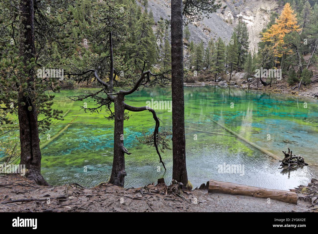 Lac vert france hi-res stock photography and images - Alamy