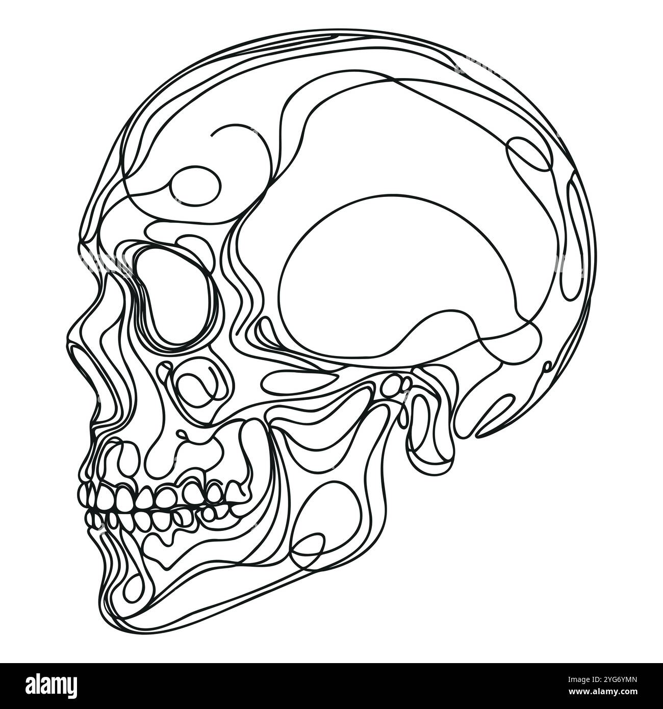Human scull. One line continuous Halloween skull isolated on white ...