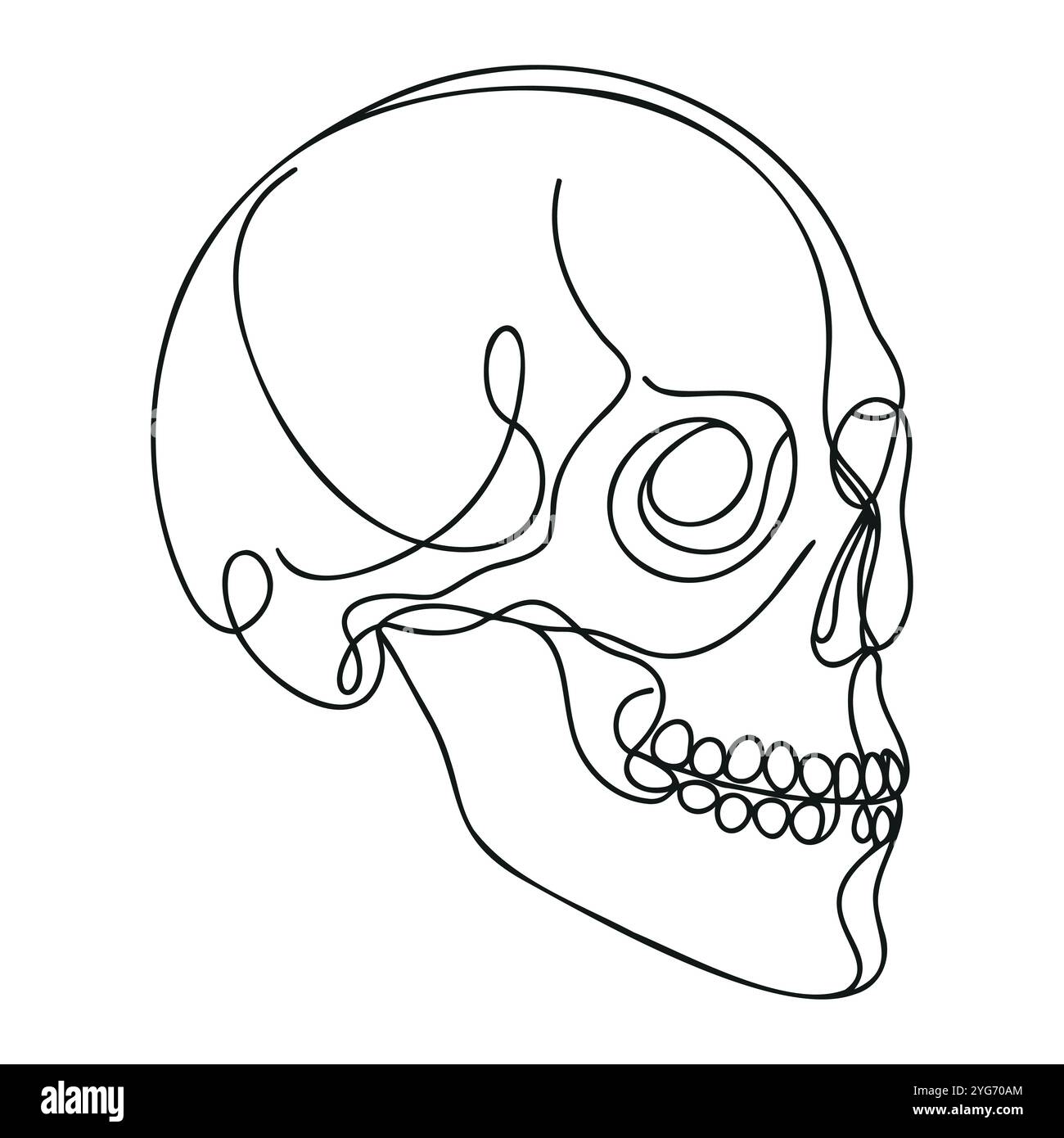 Human scull. One line continuous Halloween skull isolated on white ...