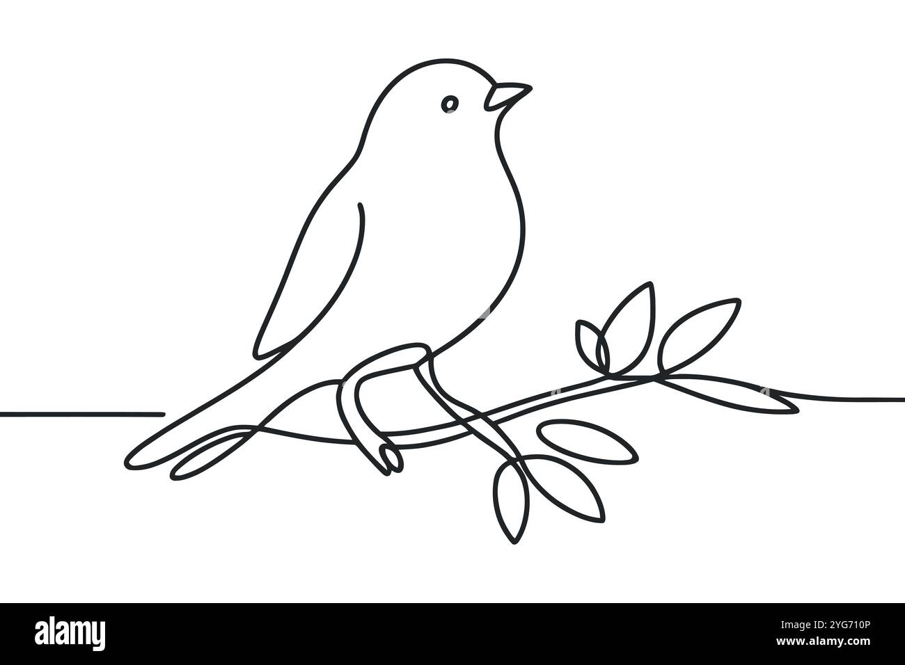 Branch line drawing Black and White Stock Photos & Images - Alamy