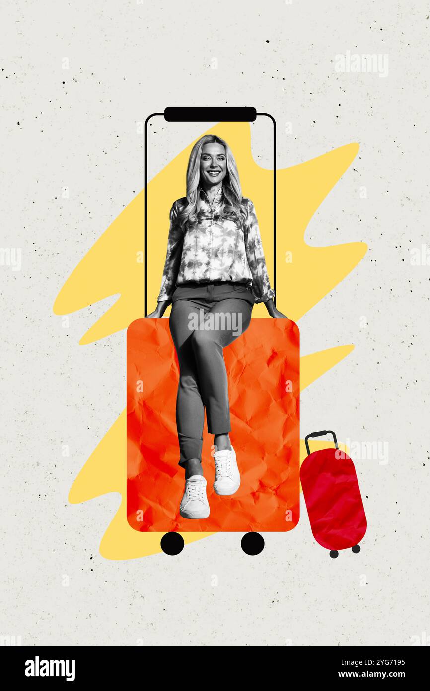 Vertical poster collage young woman traveler valise luggage journey ...