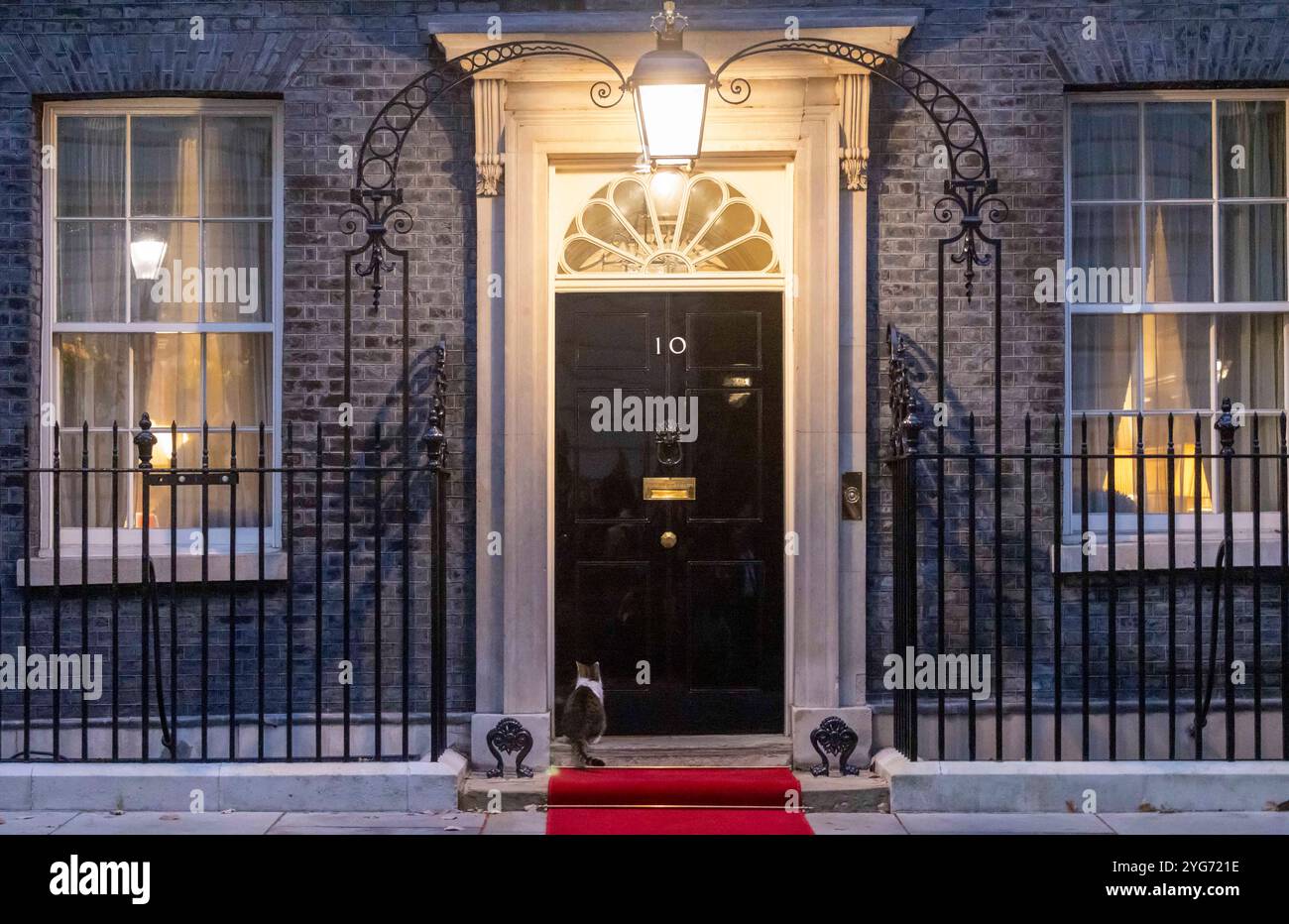 London, UK. 6th Nov, 2024. Larry the Cat, Chief Mouser to the Treasury ...