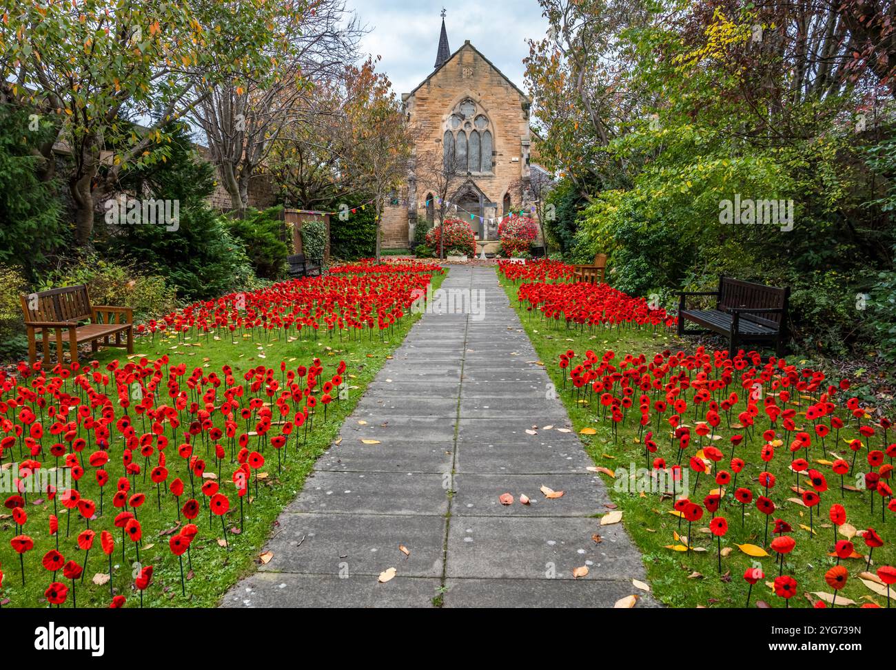 Remembrance Day crocheted poppy display in garden, St Andrew's High ...