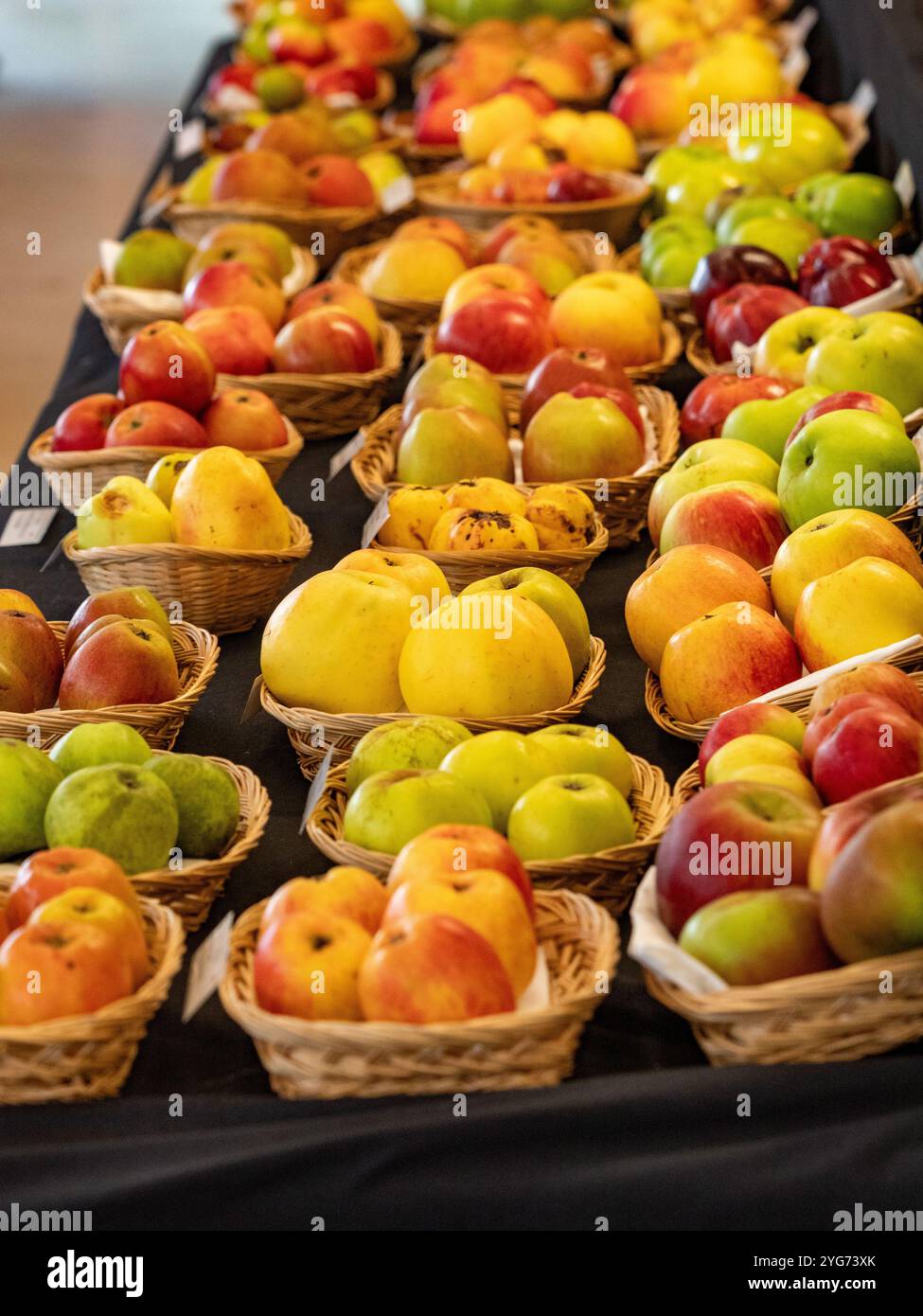 Harvest apples displayed in wicker baskets at a UK fruit and vegetable ...