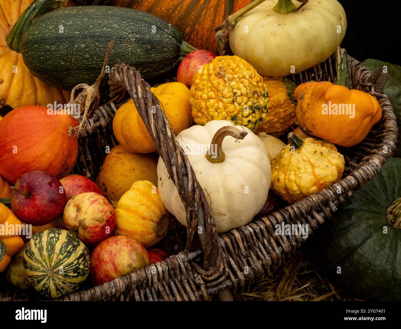 Squash autumn fruit apples hi-res stock photography and images - Alamy