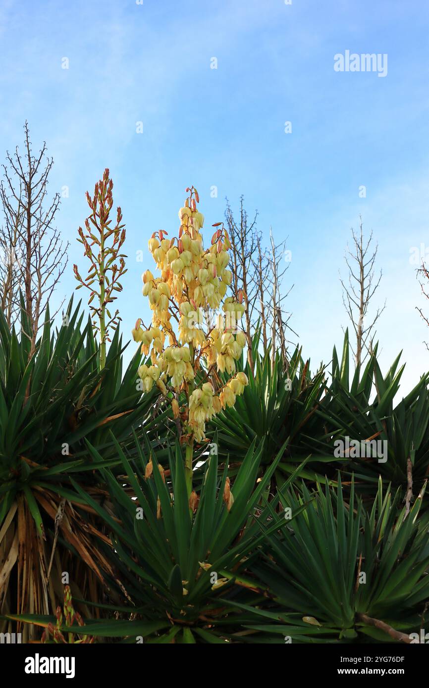 Highland Road Cemetery, Southsea, Portsmouth, Hampshire, England. 17 ...