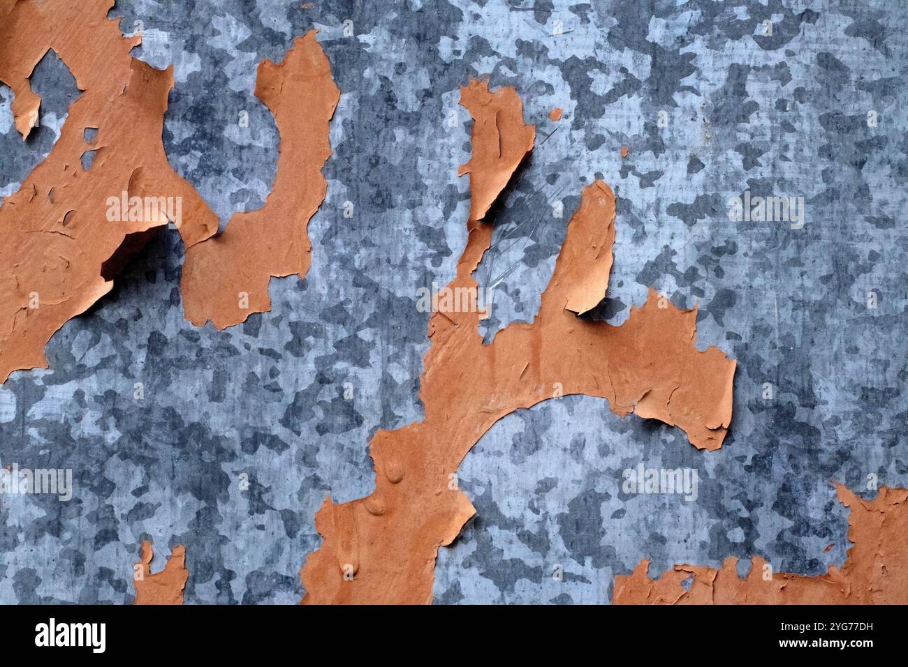 Processed collage of grunge chipped paint rusty textured metal in ...