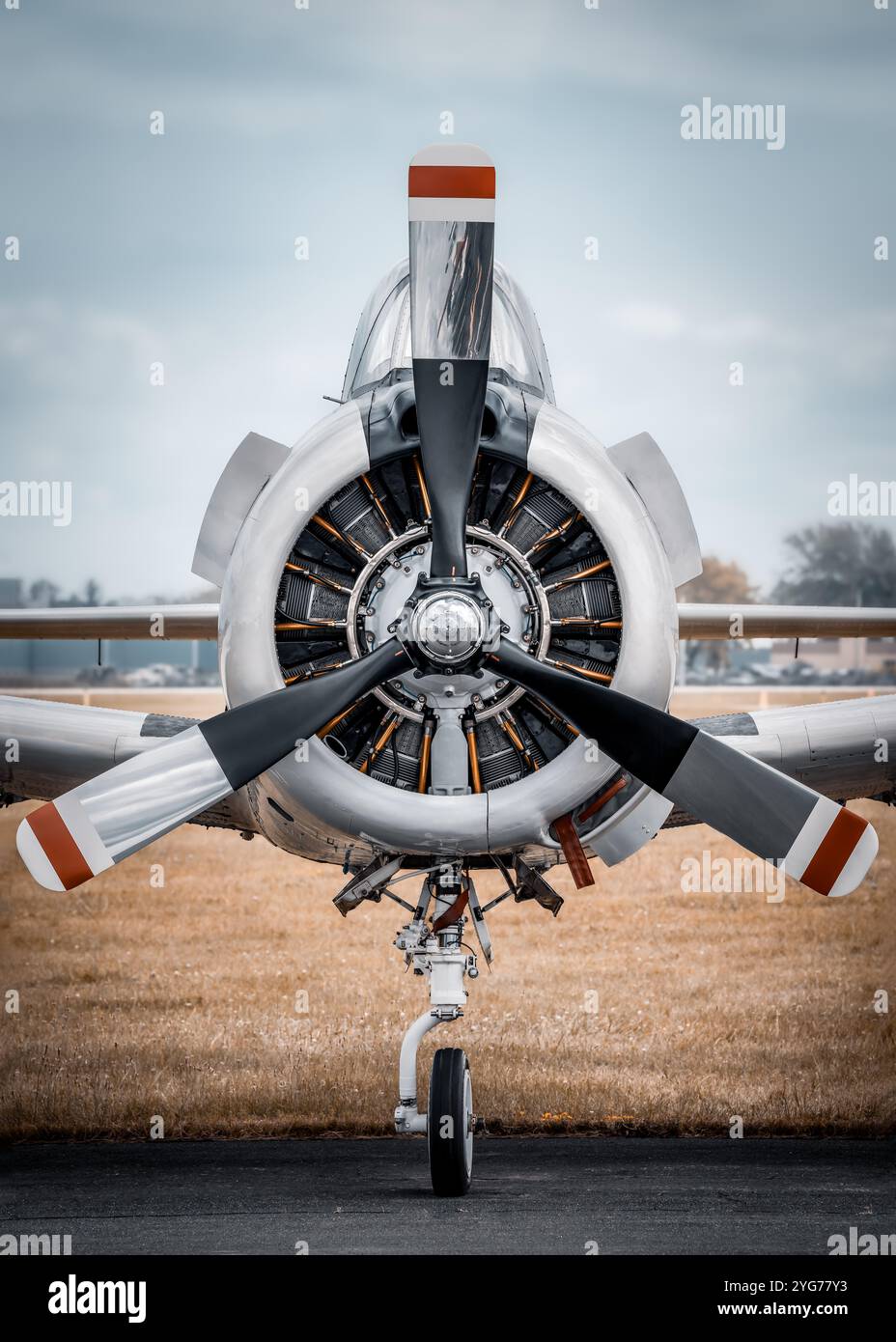 engine of an historical fighter plane Stock Photo - Alamy
