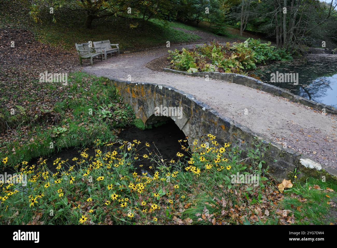 Sheffield park streams hi-res stock photography and images - Alamy