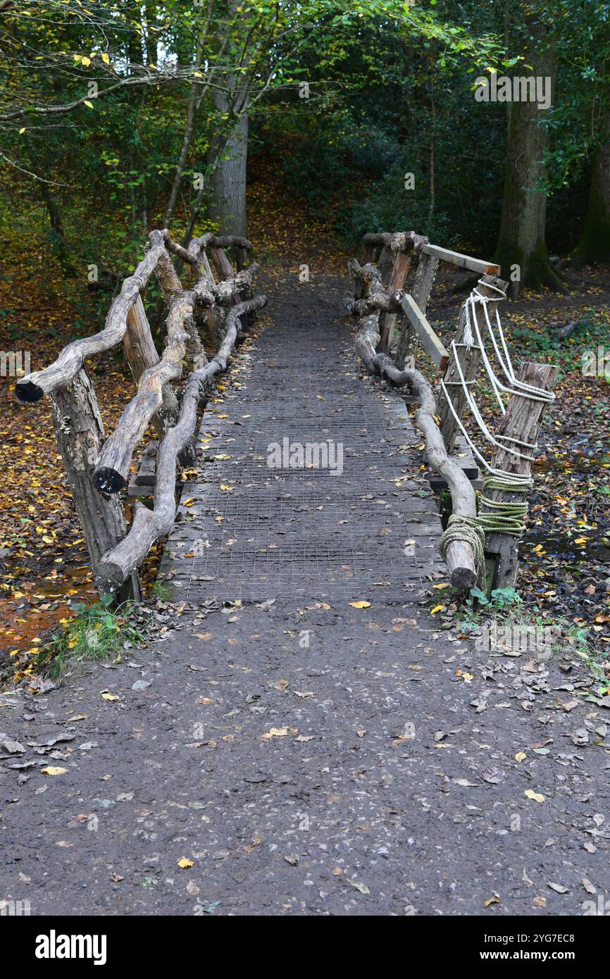 Woodland paths and steps Stock Photo - Alamy