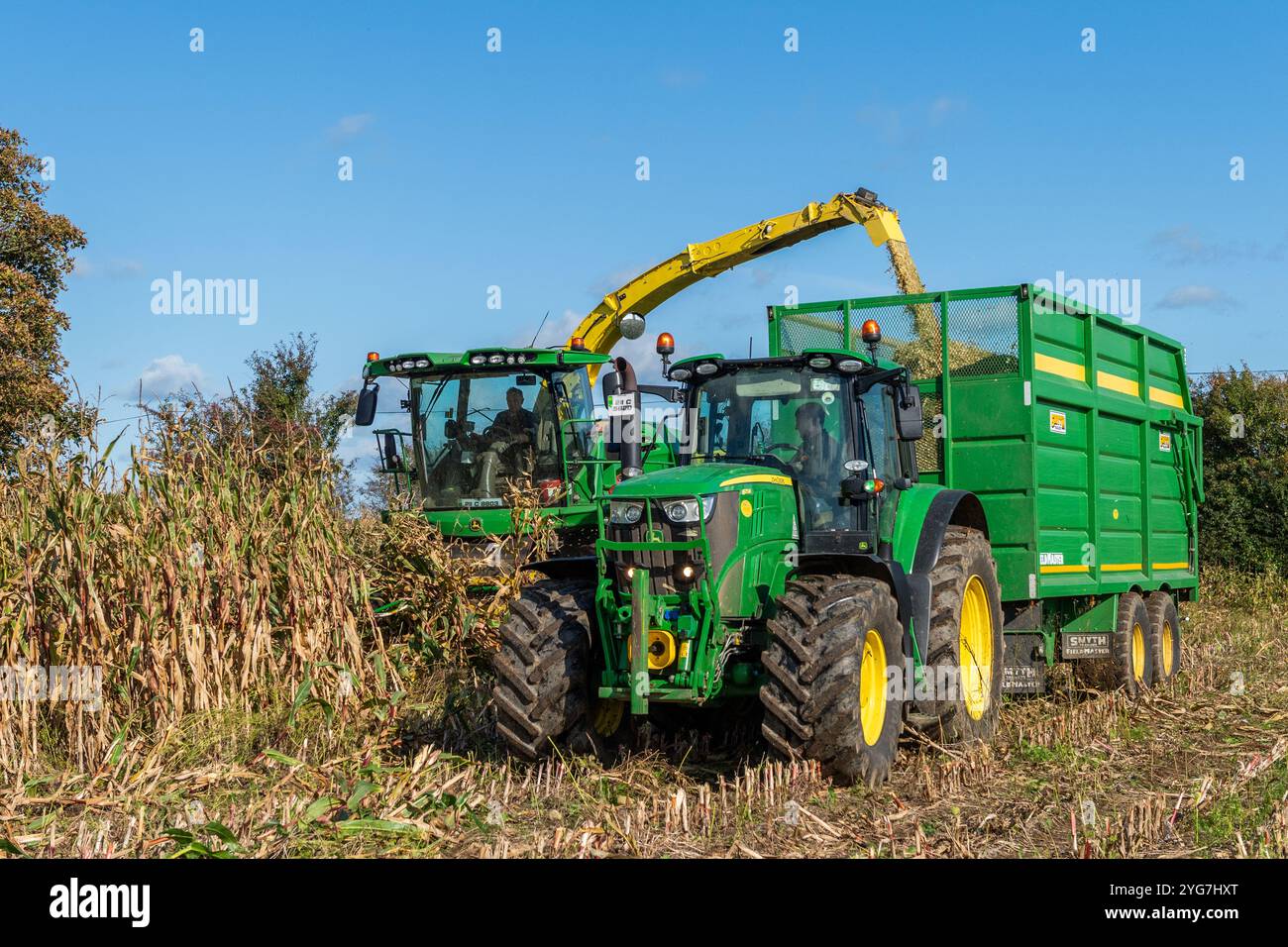 Walsh Agri Services harvests maize for Bauravilla based dairy farmer ...