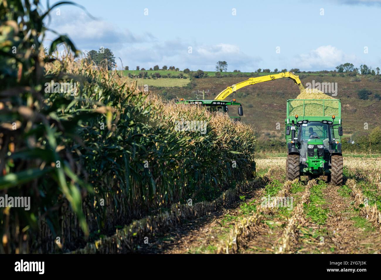 Walsh Agri Services harvests maize for Bauravilla based dairy farmer ...