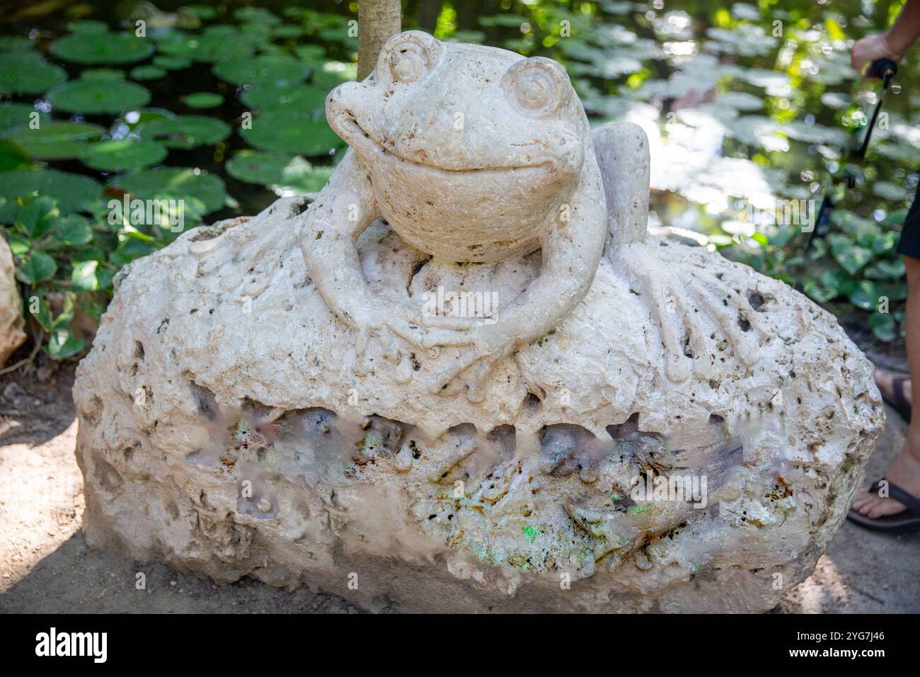 Welcoming Frog Statue at the entrance Stock Photo - Alamy