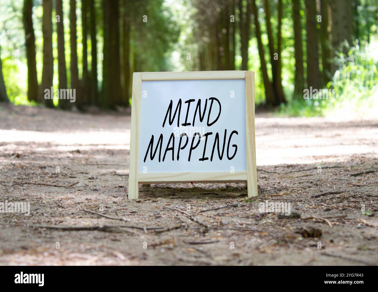 Mind Mapping symbol. Concept word Mind Mapping on white chalk ...