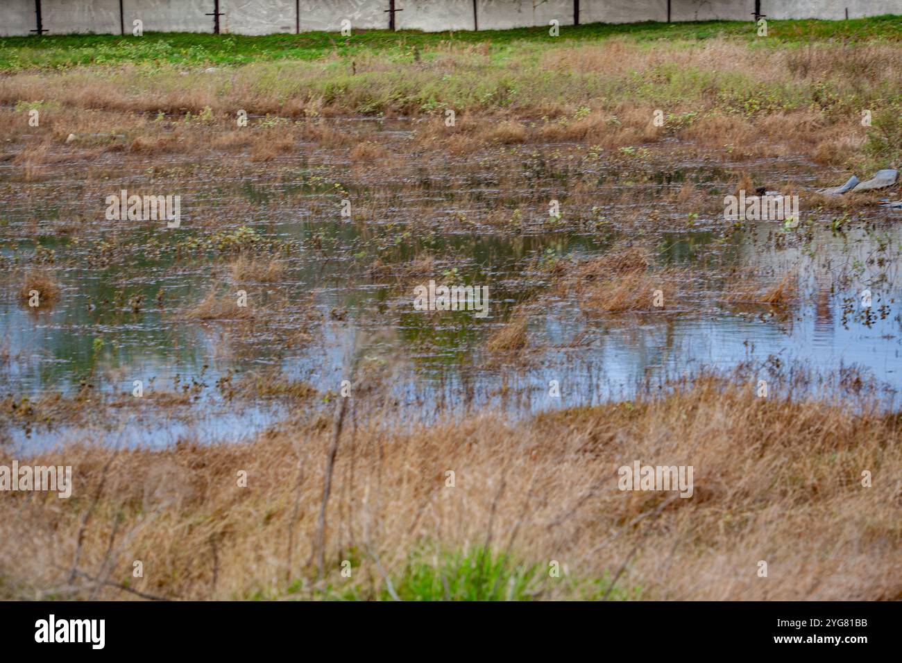Muddy flash flood water rising in stream under a small bridge Stock ...