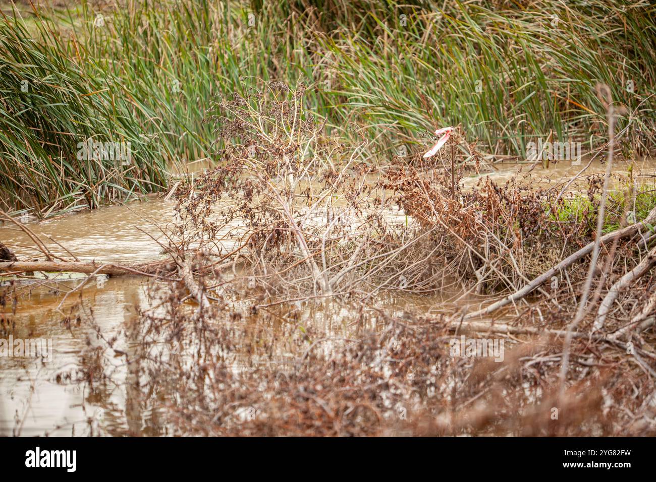 Flood disaster from Tropical storm Causing flooding, Agricultural area ...