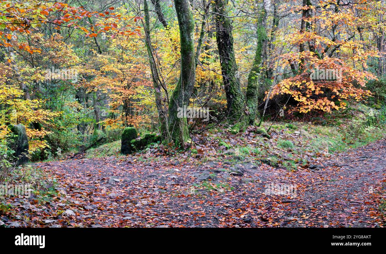 Best autumn spots hi-res stock photography and images - Alamy