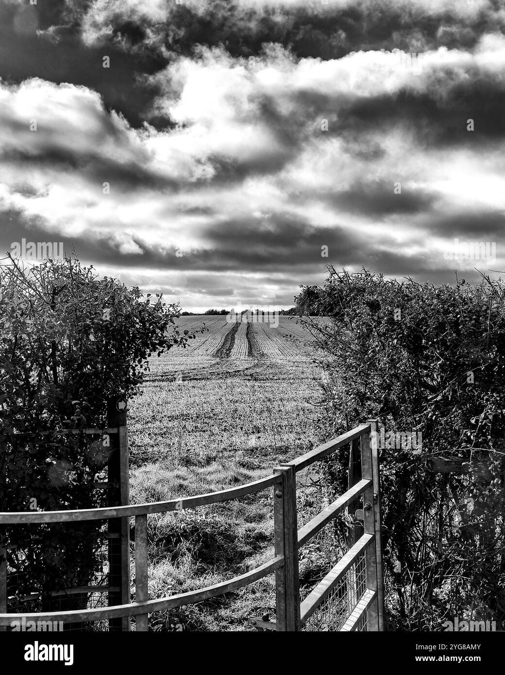 Gateway to the horizon: field in Hemingford Abbots Stock Photo - Alamy