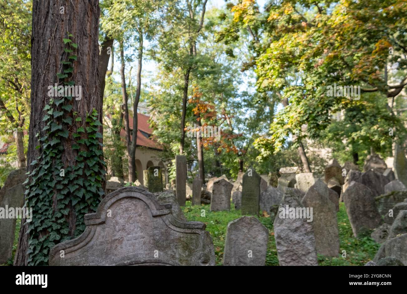 Historic gravestones in the crowded Old Jewish Cemetery in the Prague ...