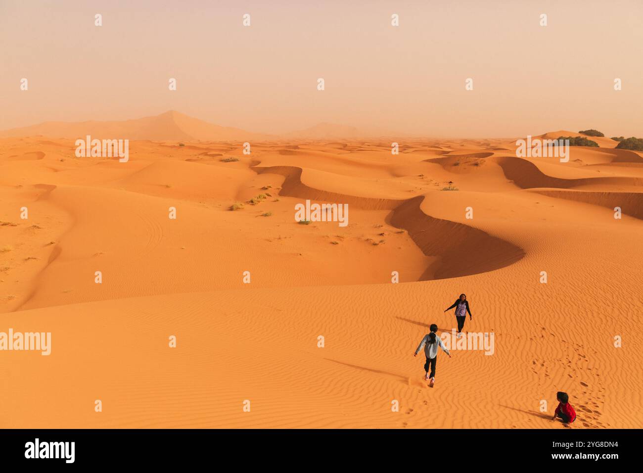 Vast sweeping sand dunes hi-res stock photography and images - Alamy