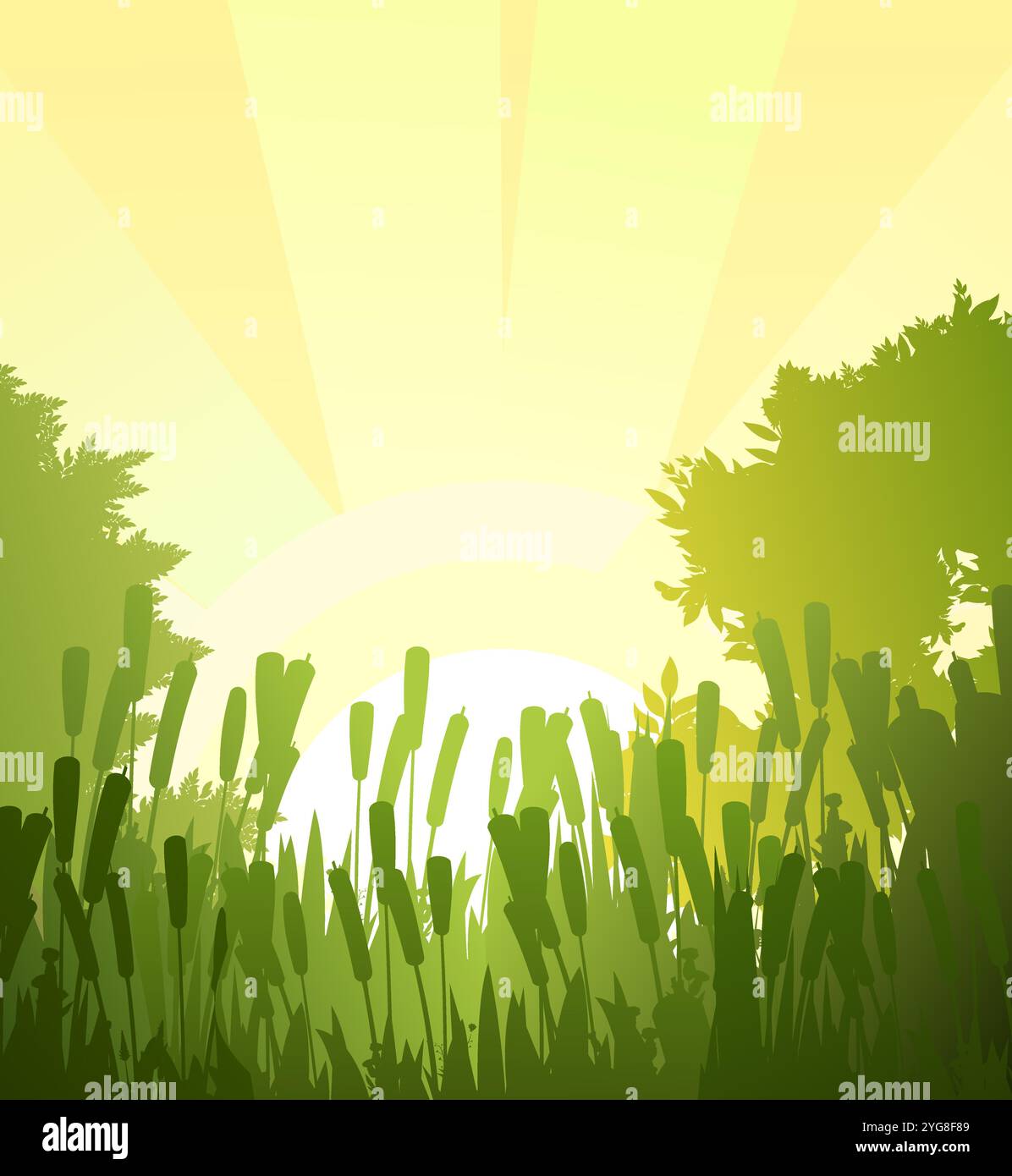 Coastal river environment Stock Vector Images - Alamy