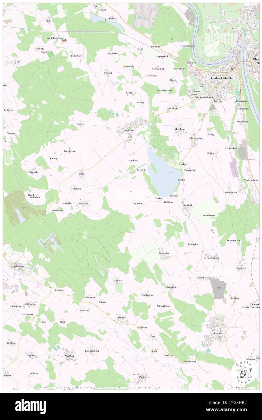 Haar moos hi-res stock photography and images - Alamy