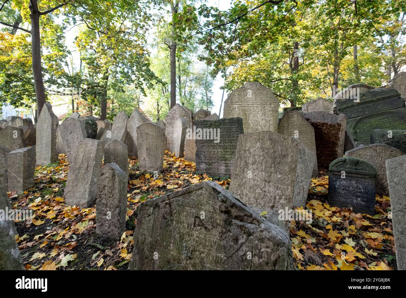 Historic gravestones in the crowded Old Jewish Cemetery in the Prague ...