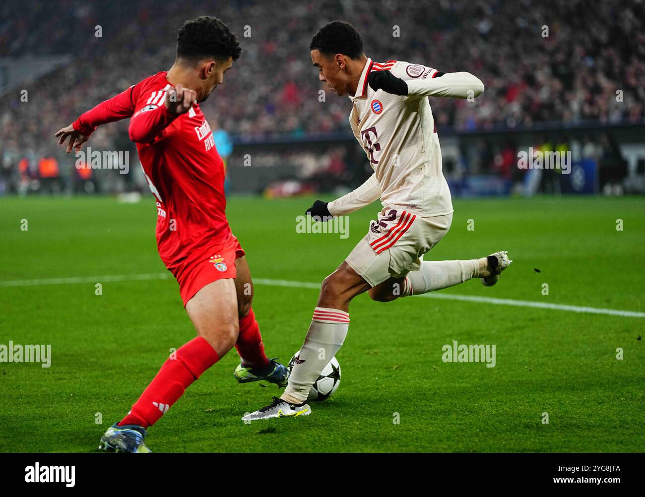 Allianz Areana, Munich, Germany. 06th Nov, 2024. Jamal Musiala of ...