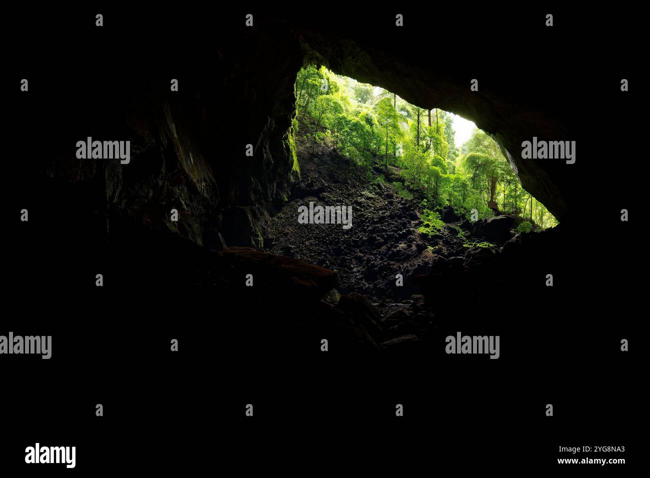 Deer Cave - Gua Payau or Gua Rusa in Sarawak on Borneo island, Malaysia ...