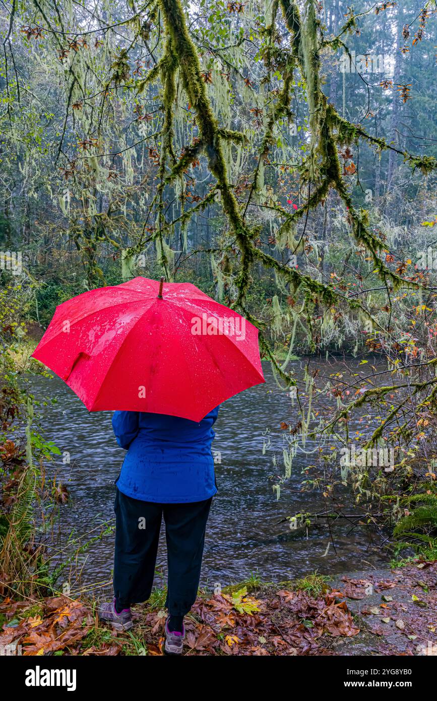 Woman with red umbrella along River's Edge Trail in Schafer State Park ...
