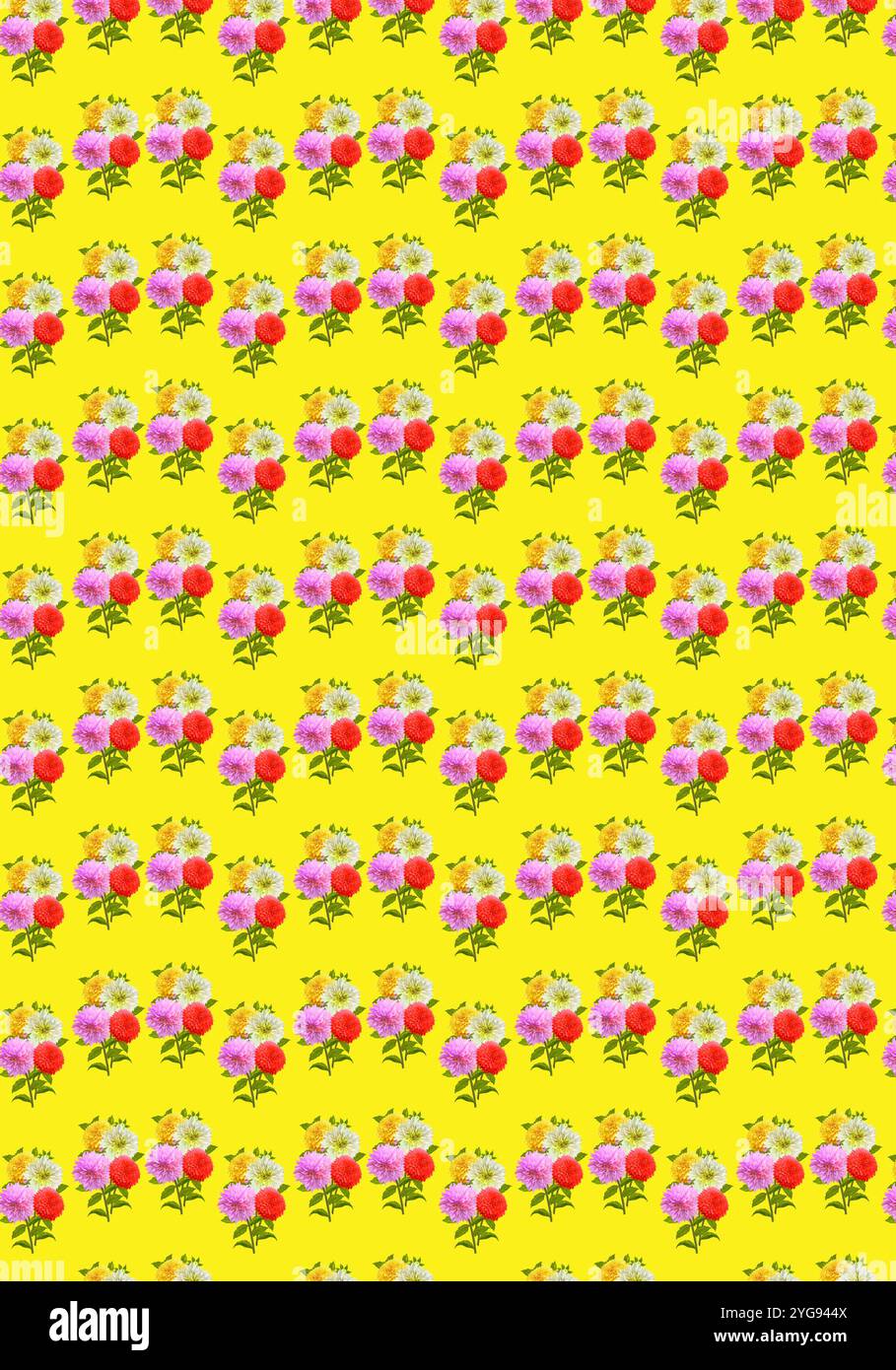 Vector illustration cute colorful hi-res stock photography and images ...