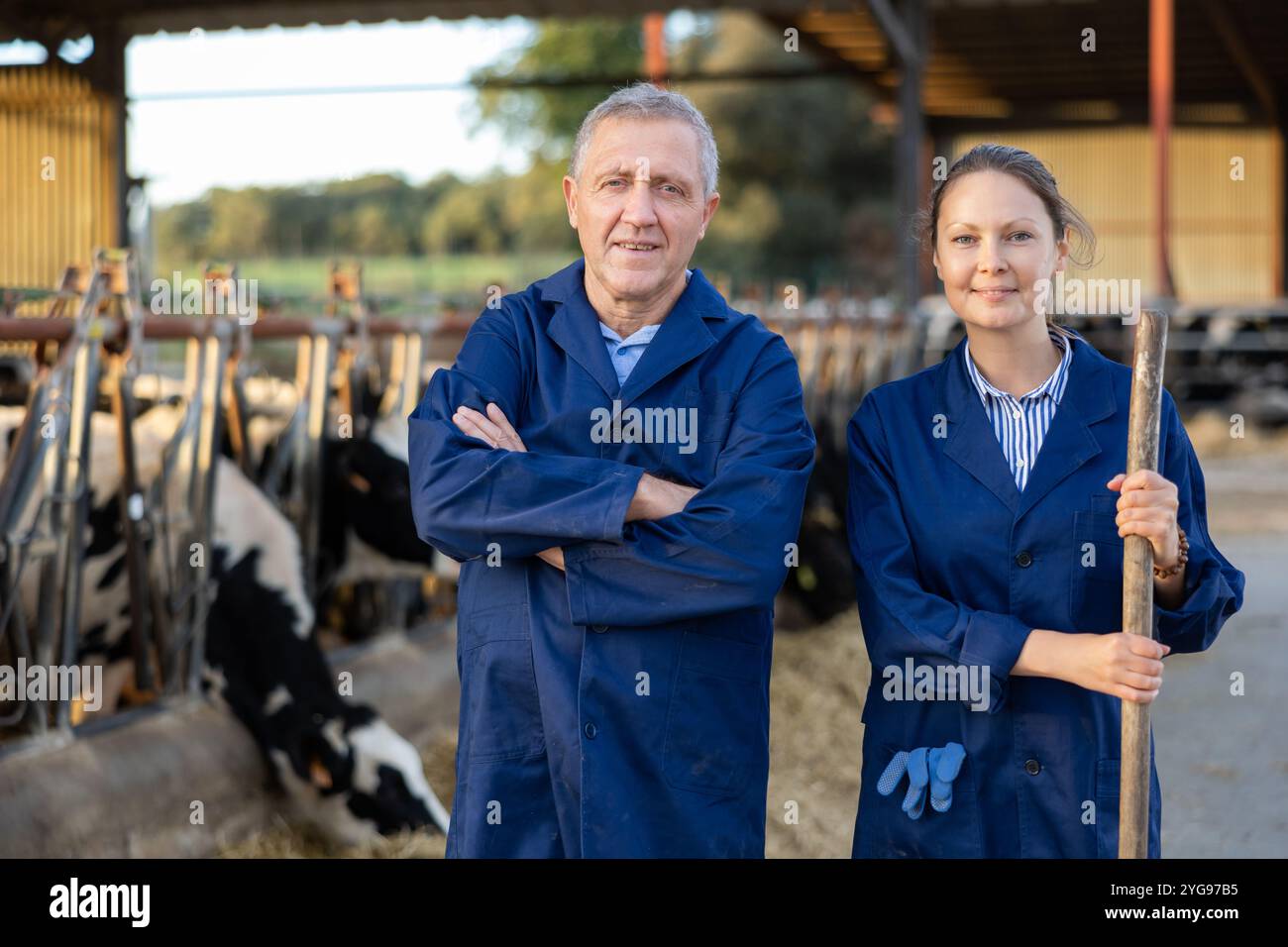 Experienced female and male breeders standing in stall on background ...
