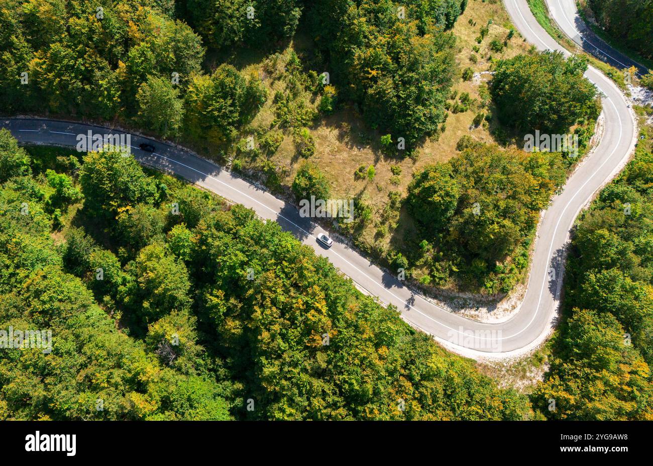 Aerial view of a winding forest road with cars traveling through lush ...