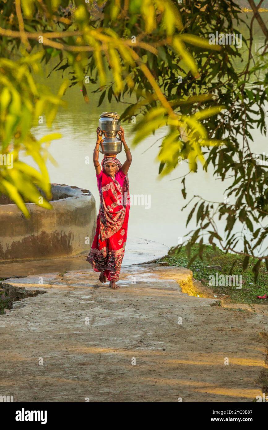 India, Kankrej. Woman going to the well, carrying water pots Stock ...