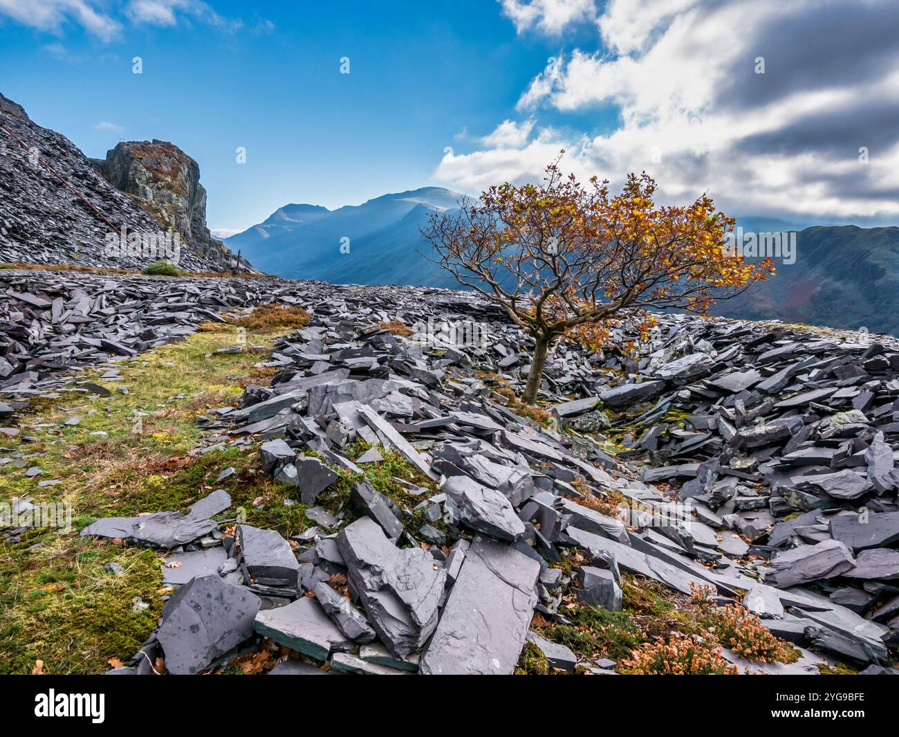 General scene of redundant quarry workings at the abandoned UNESCO ...