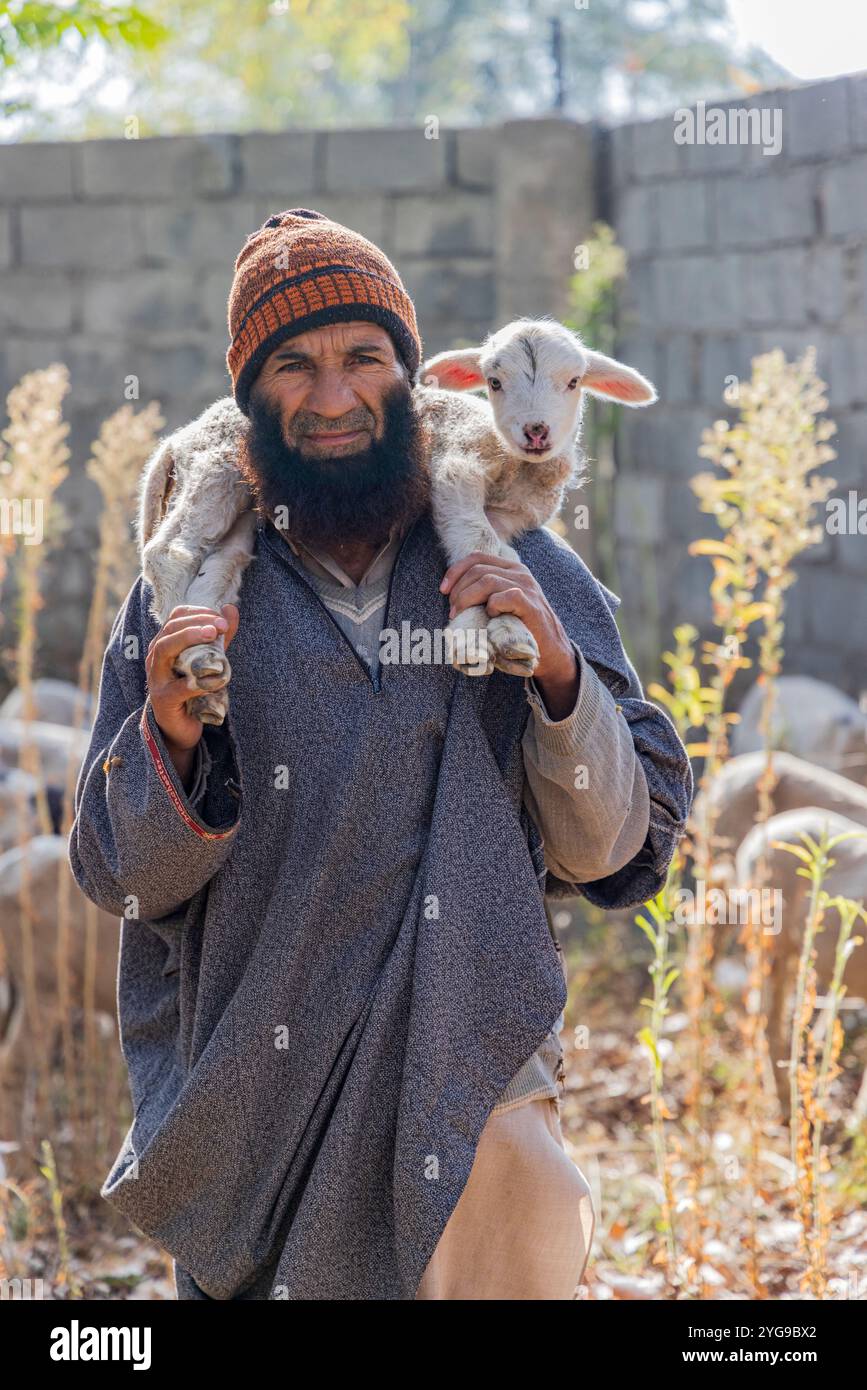Berna Bugh, Kangan, India. Man carrying a lamb in a village of Jammu ...