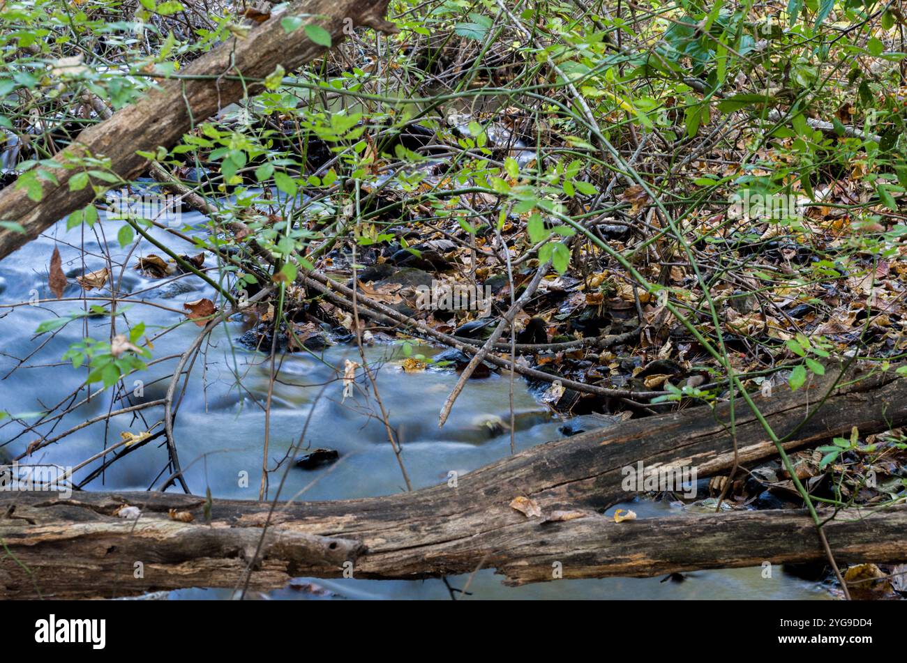 Stream thoughts hi-res stock photography and images - Alamy