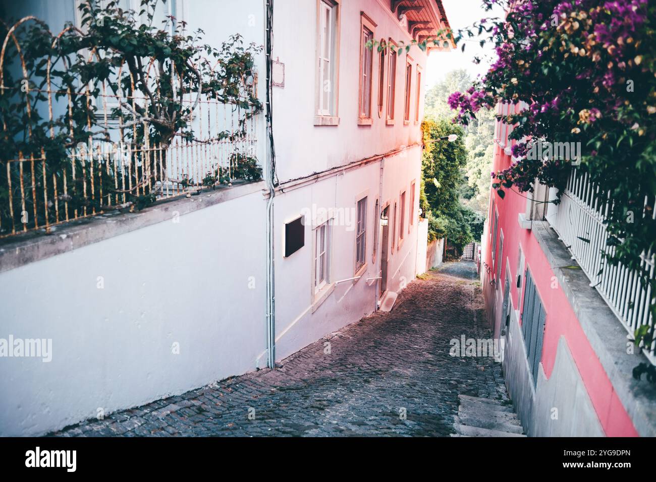 A narrow cobblestone alleyway between pastel-colored buildings ...