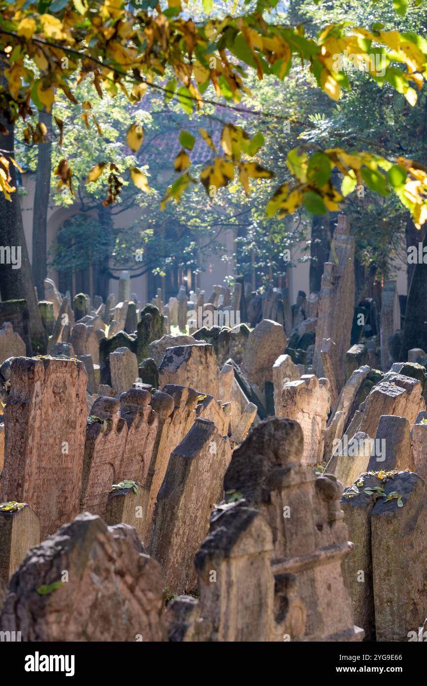 Historic gravestones in the crowded Old Jewish Cemetery in the Prague ...