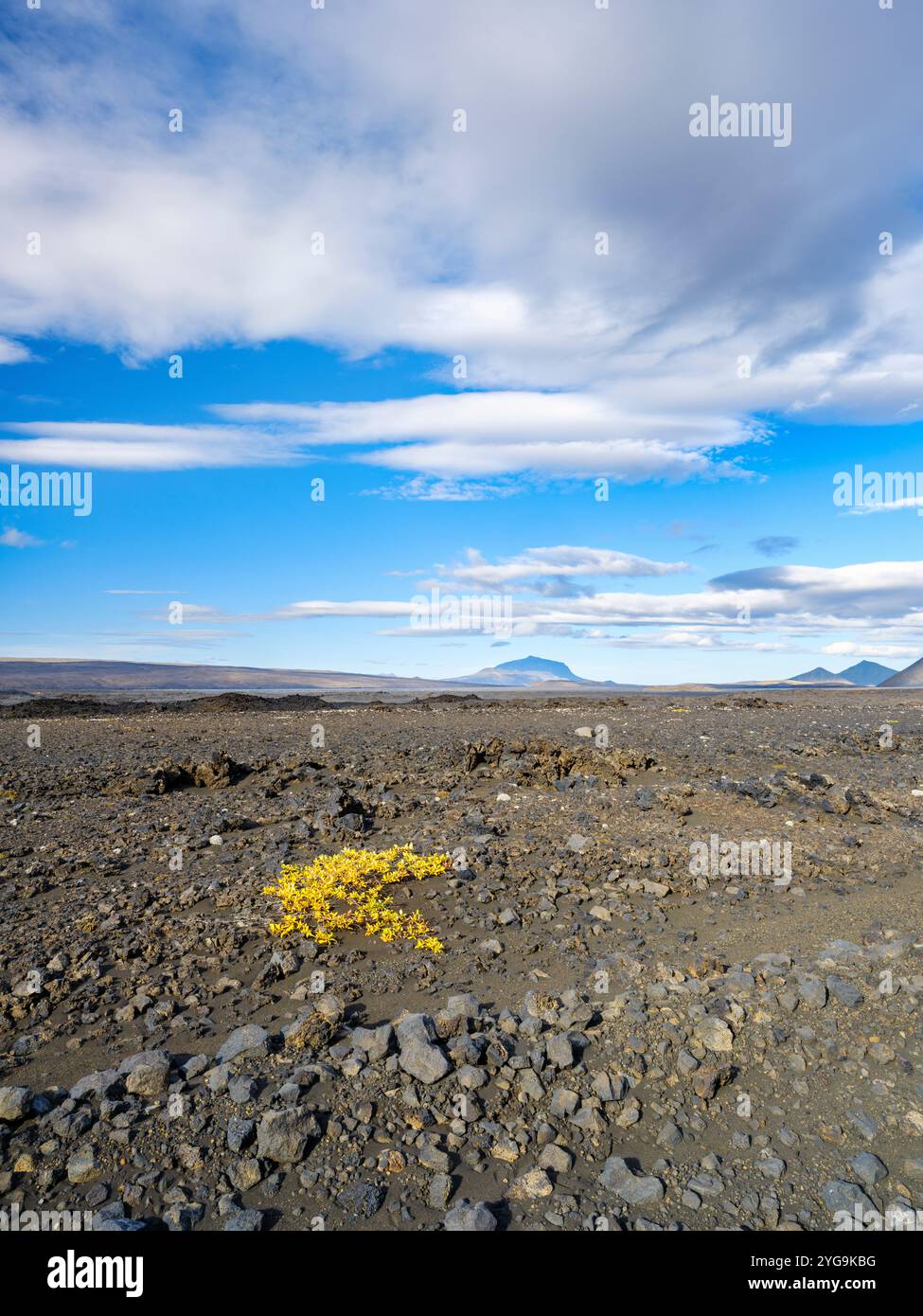The northeastern interior highlands of Iceland in the Vatnajokull ...