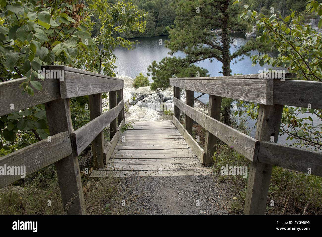 wooden hiking path in minnewaska state park with view of lake and pine ...