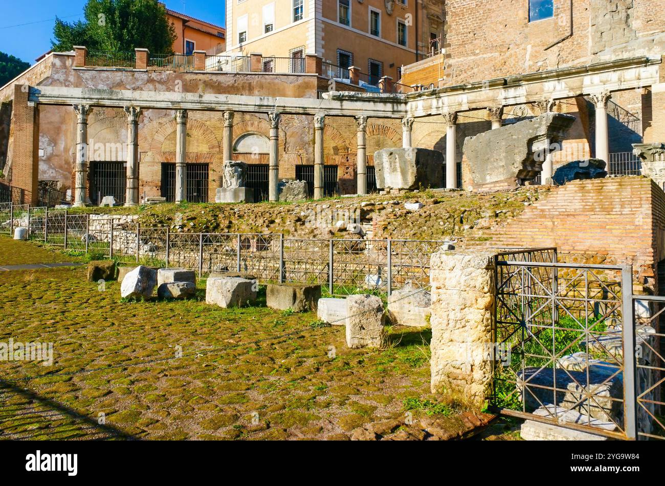 Porticus deorum consentium rome hi-res stock photography and images - Alamy