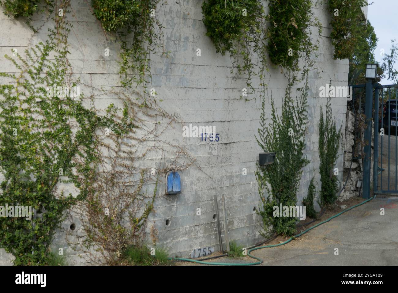Los Angeles, California, USA 5th November 2024 Producer Steve Karpf ...