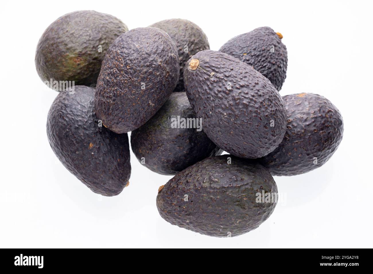 Seven whole avocados, dark purple in color, with rough textured skin ...